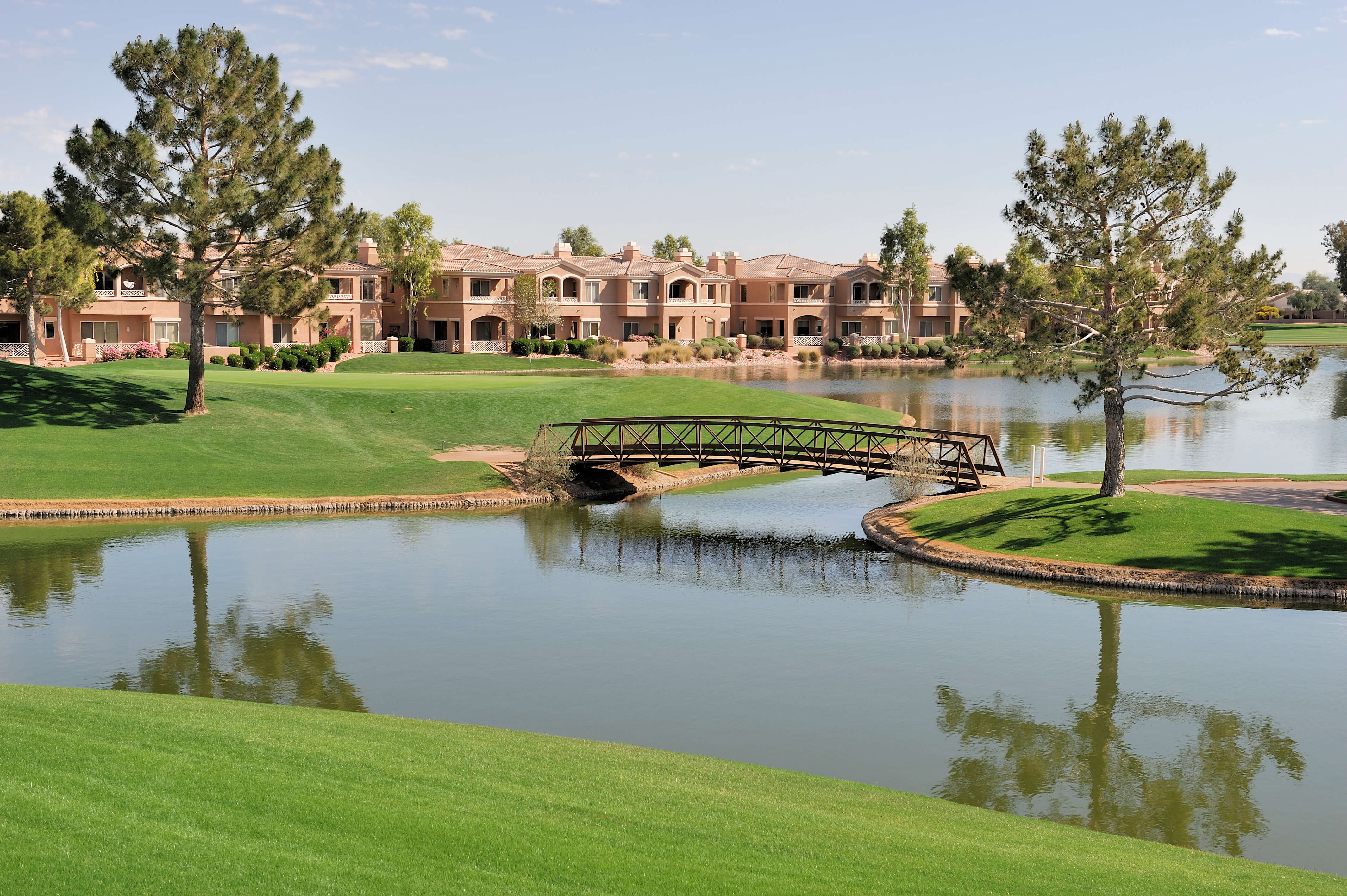 Ocotillo - Rick Engineering